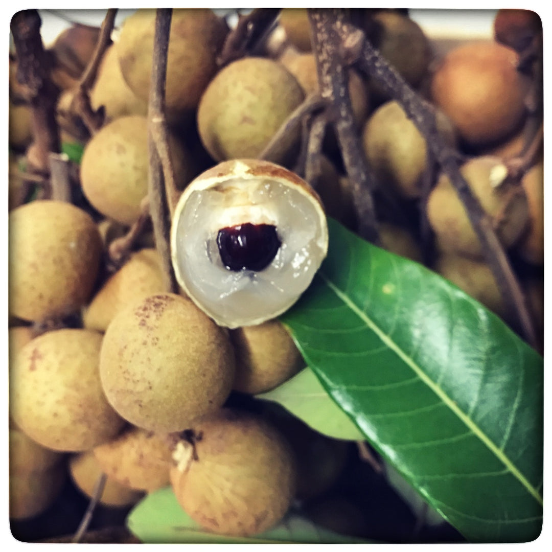 Exotic and tropical fruits — Naga Gardens