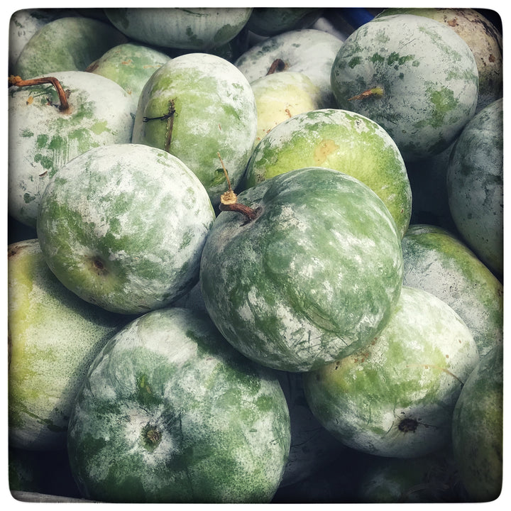 Exotic Items — Naga Gardens