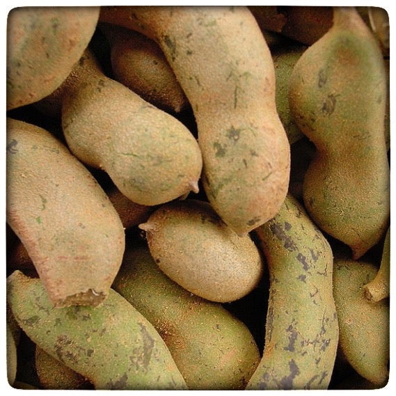 Exotic Items — Naga Gardens